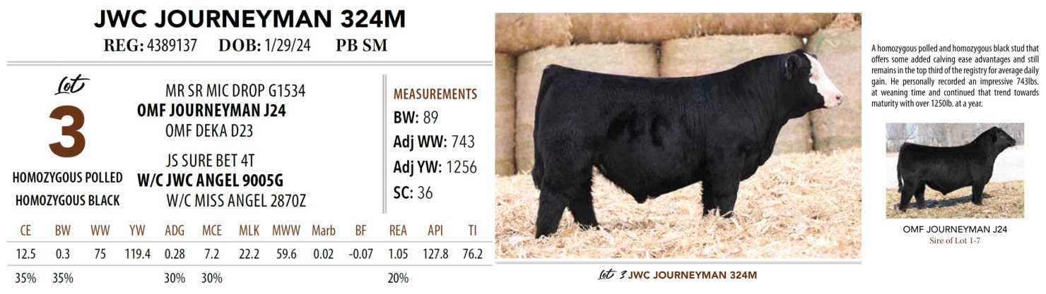 Lot 3: Jared Werning Cattle - Annual Simmental Bull & Female Sale ...