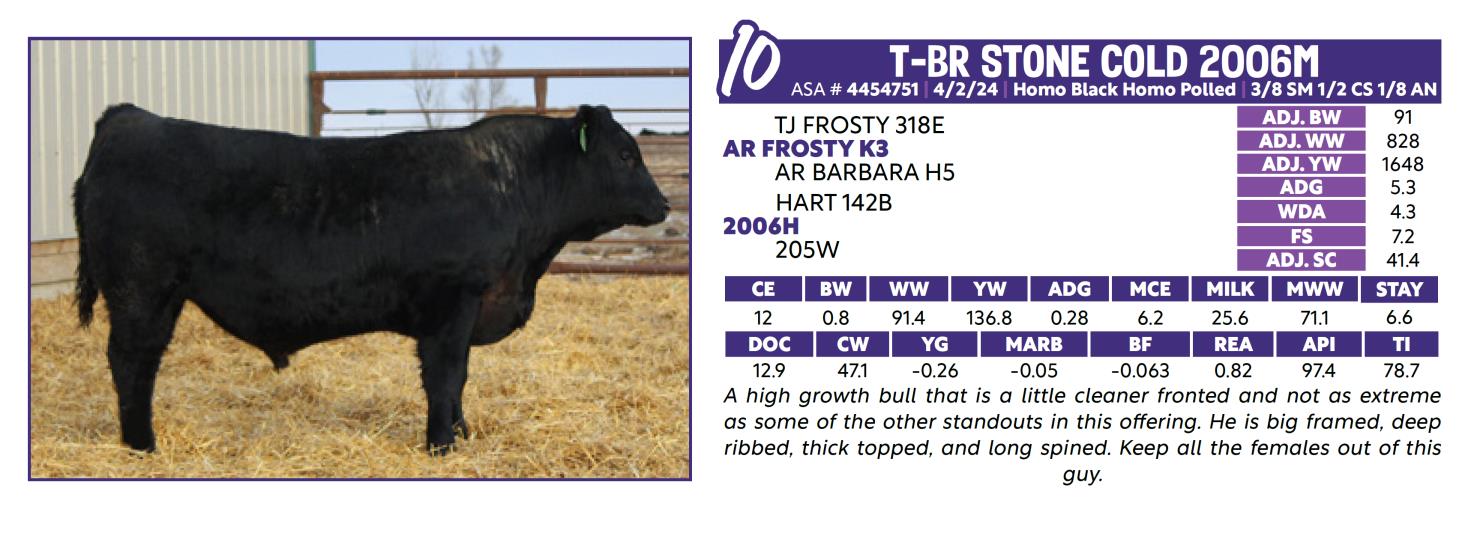 Lot 10: Burgod Ranch Simmental - 7th Annual Simmental Bull Sale ...