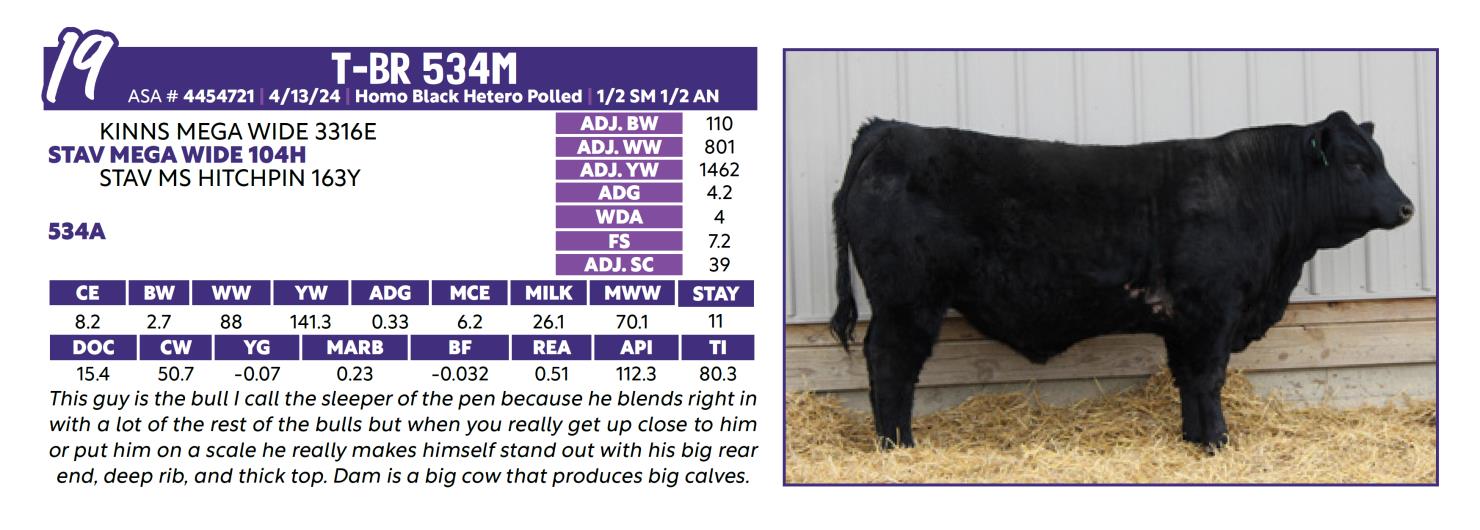 Lot 19: Burgod Ranch Simmental - 7th Annual Simmental Bull Sale ...
