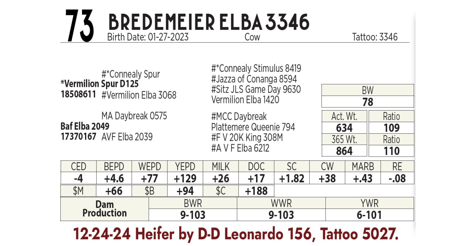 Lot 73: Bredemeier Angus - Annual Production Sale | DVAuction