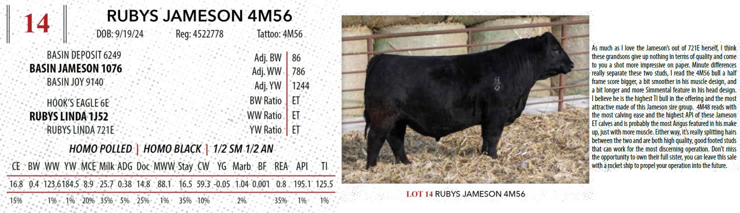 Lot 14: Ruby Cattle Co. - Annual Bull Sale | DVAuction