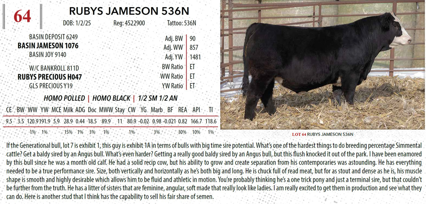 Lot 64: Ruby Cattle Co. - Annual Bull Sale | DVAuction