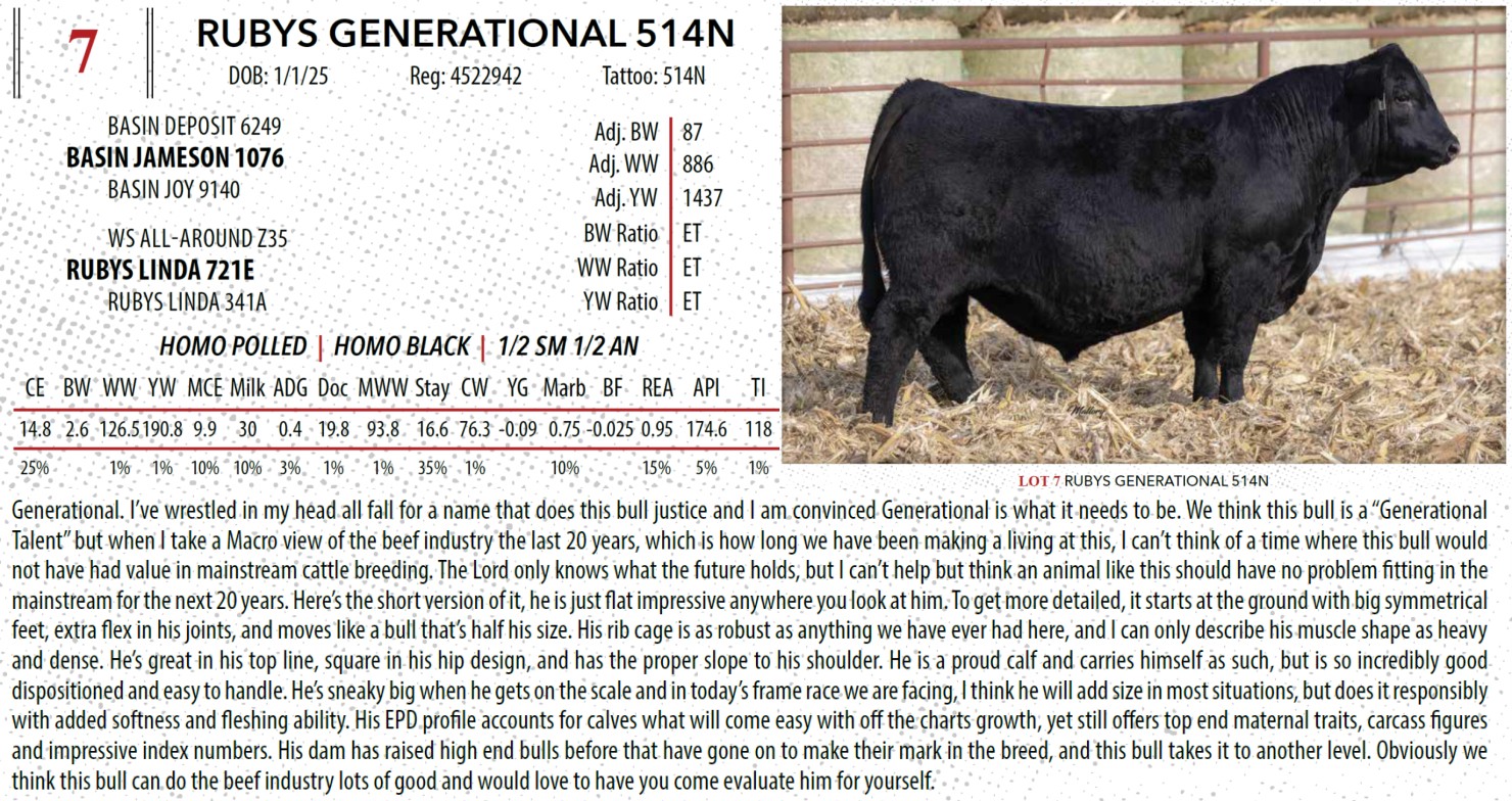 Lot 7: Ruby Cattle Co. - Annual Bull Sale | DVAuction