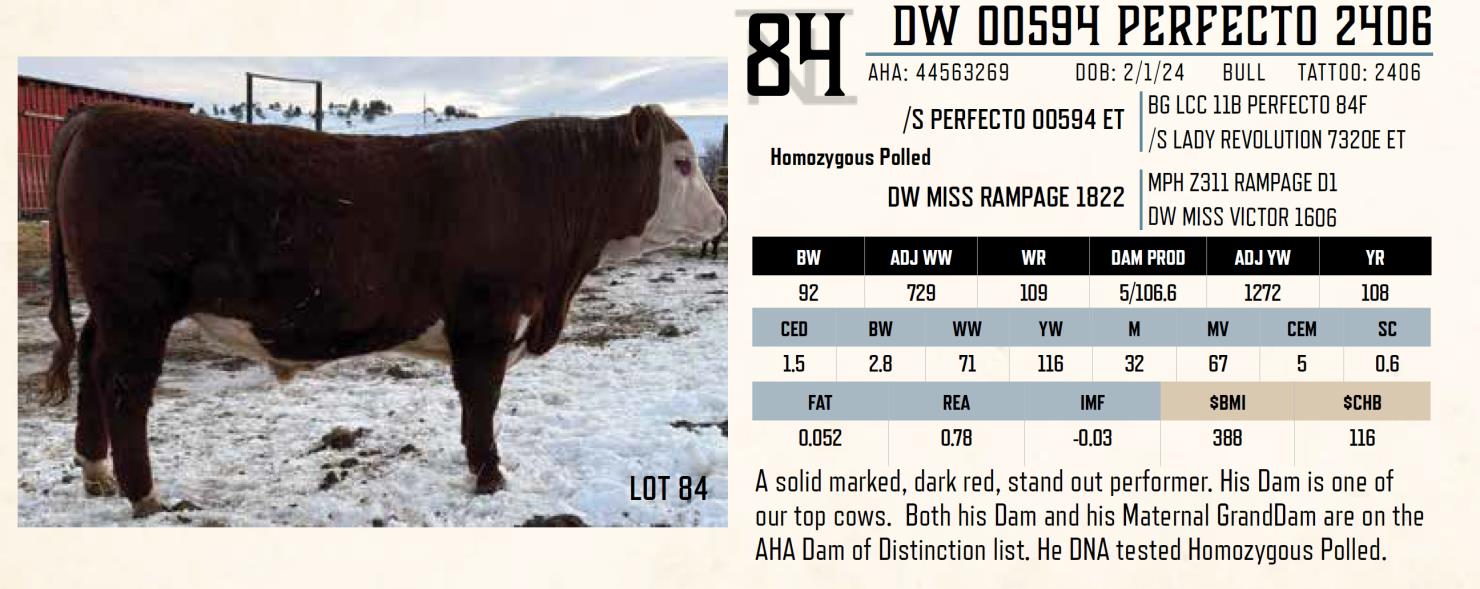 Lot 84: Clear Creek Angus & Weaver Herefords - Annual Bull Sale | DVAuction