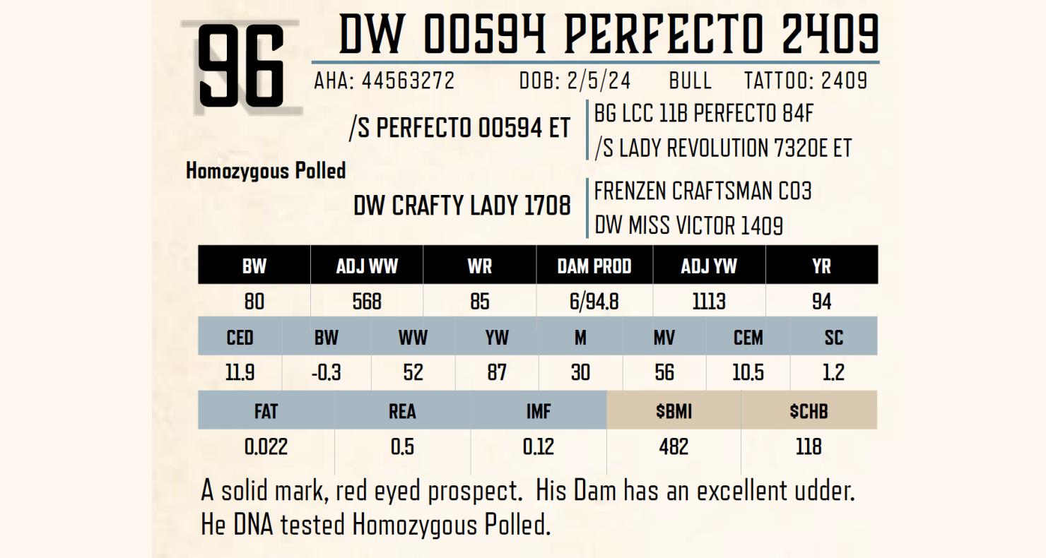 Lot 96: Clear Creek Angus & Weaver Herefords - Annual Bull Sale | DVAuction