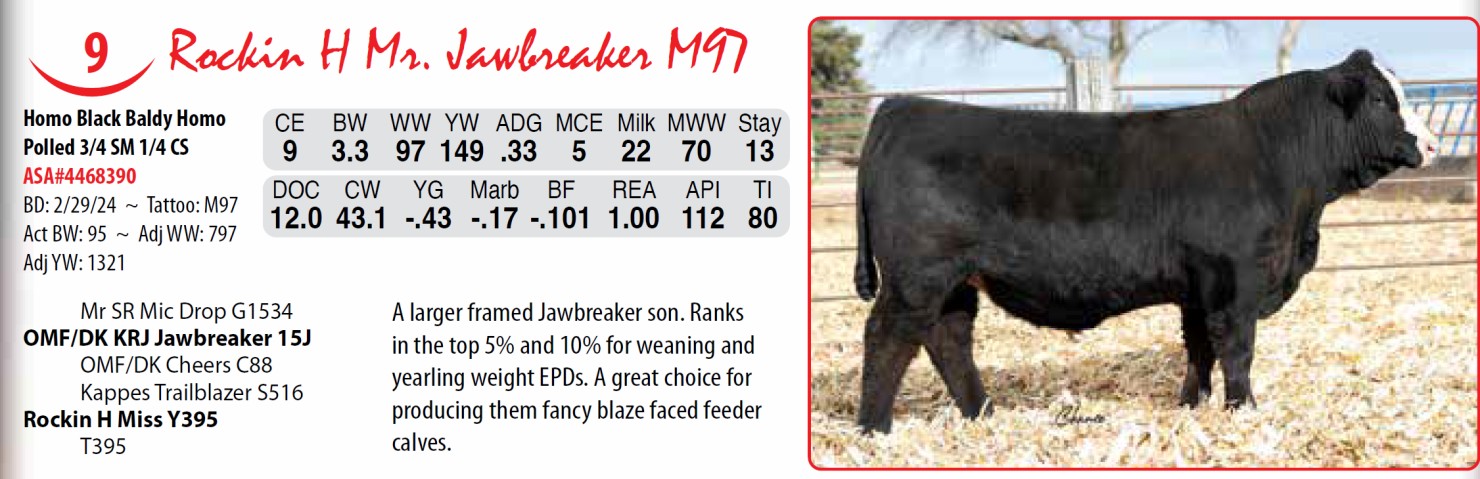 Lot 9: Rockin H Simmentals - Annual Production Sale | DVAuction