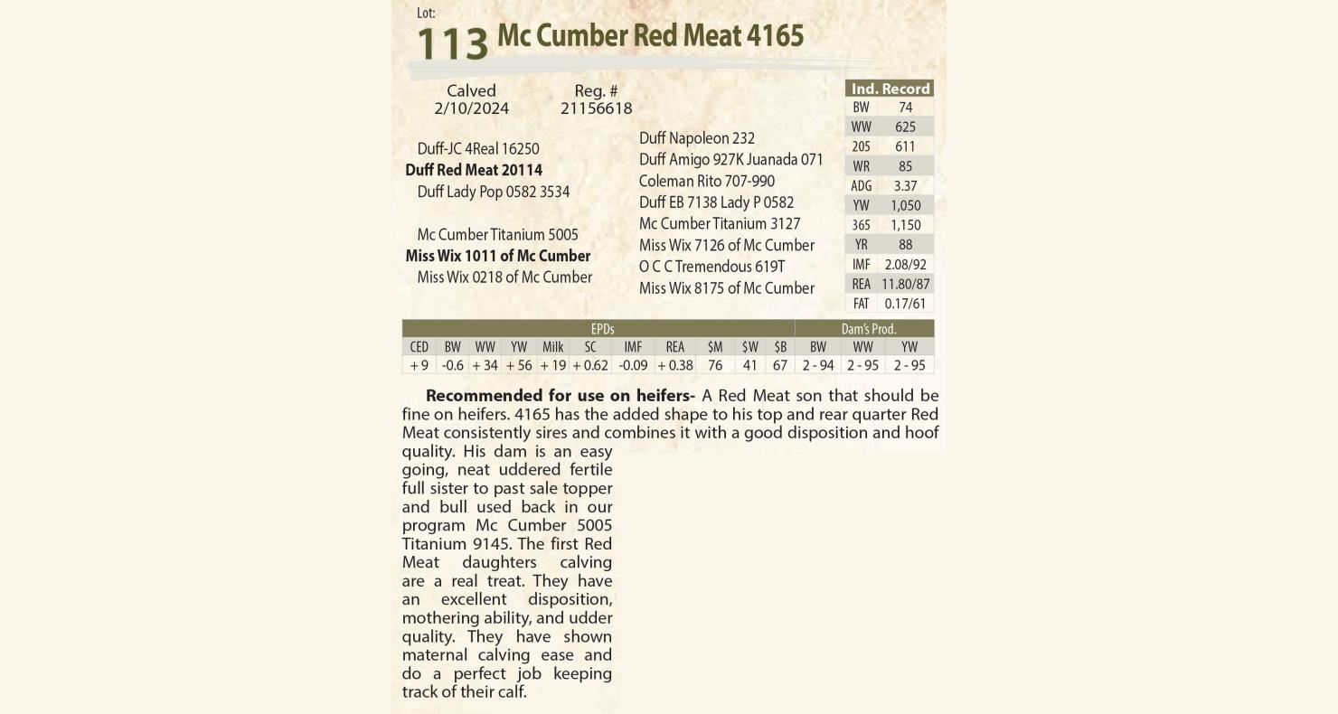 Lot 113: McCumber Angus Ranch - Annual Production Sale | DVAuction