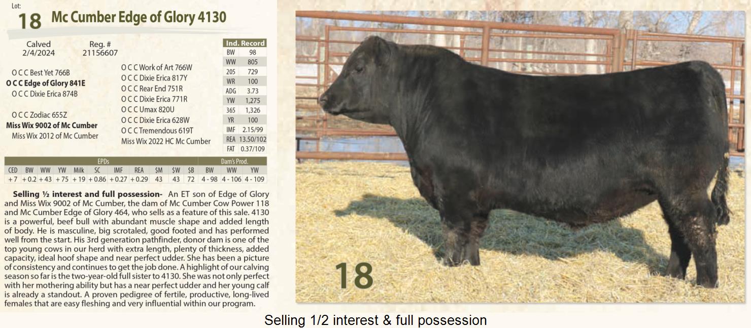 Lot 18: McCumber Angus Ranch - Annual Production Sale | DVAuction