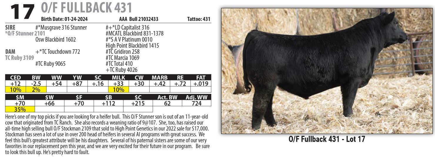 Lot 17: Oswald Farms Angus & Sim-Angus Bull and Replacement Heifer Sale ...
