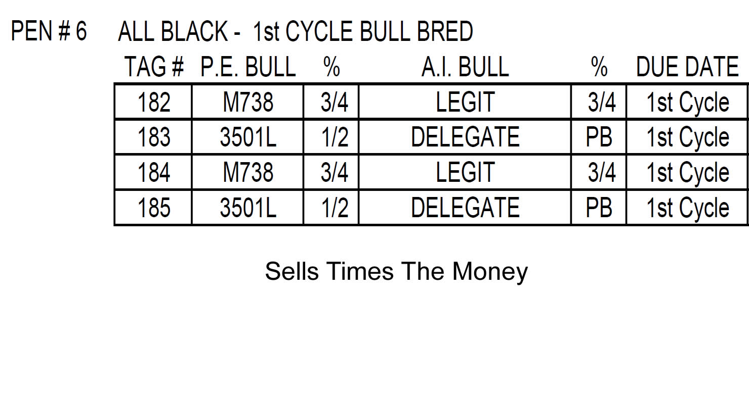 Lot pen6: Lucas Cattle Company - Annual Fall Sale | DVAuction