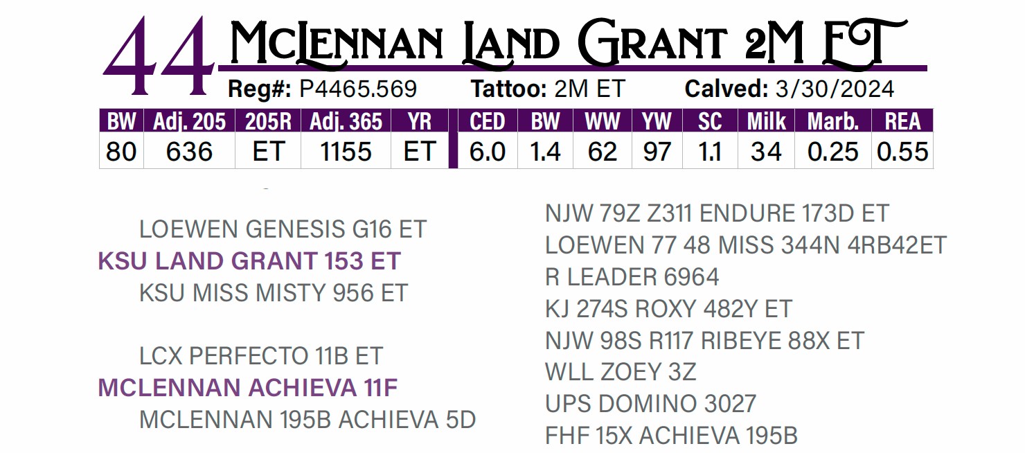 Lot 44: McLennan Angus Ranch - Annual Angus Bull & Female Sale ...