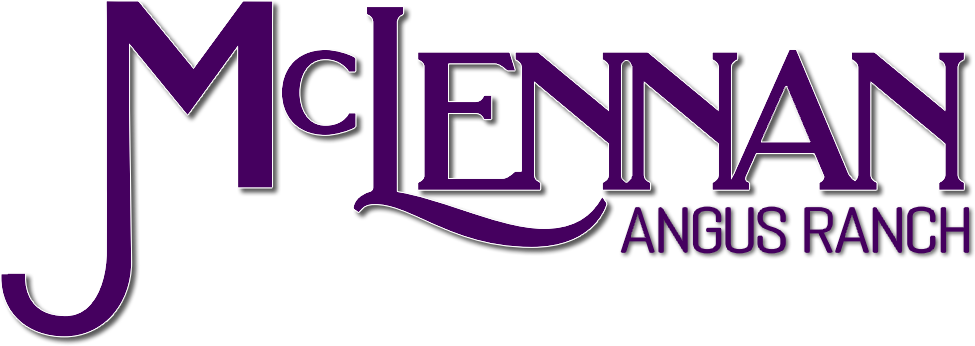 Broadcasting Real-Time Auctions | McLennan Angus Ranch