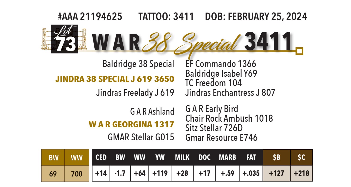 Lot 73: Wilson Angus - Annual Production Sale | DVAuction