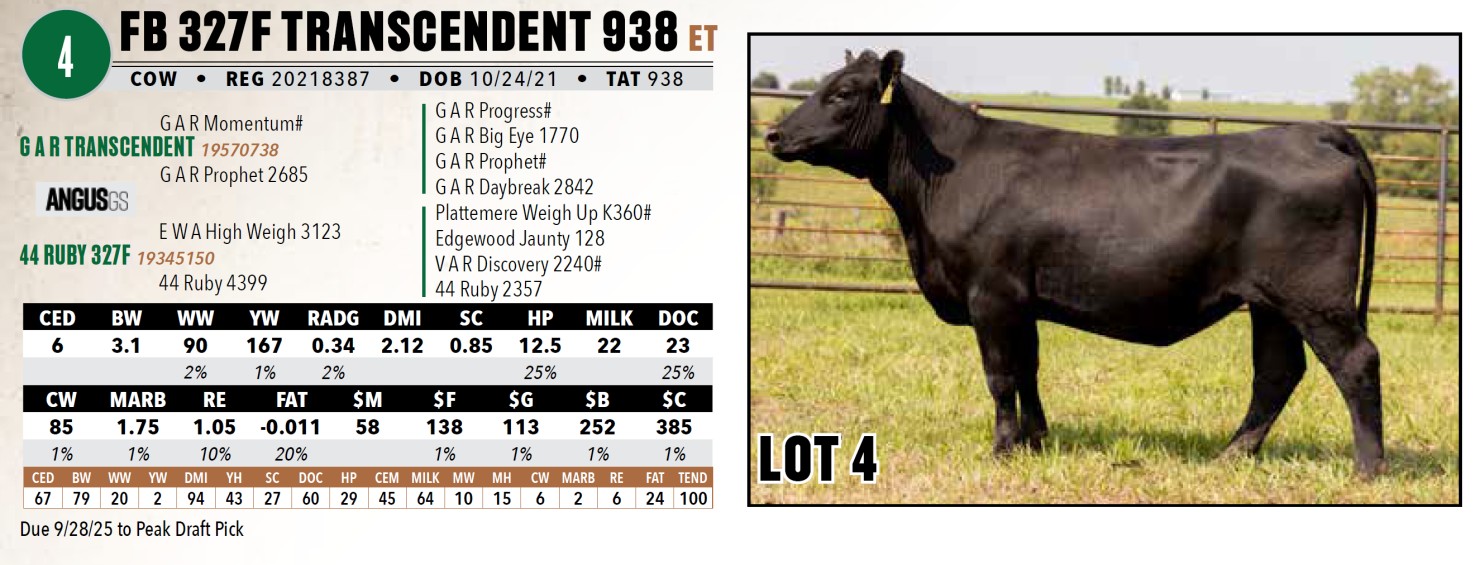 Lot 4: Peterson Prime Angus Online Sale - Online Sale | DVAuction