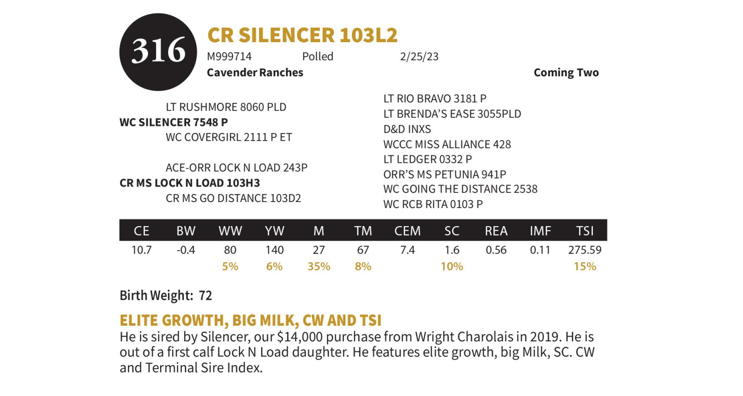 Lot 316: Cavender Ranches - Bull Sale | DVAuction