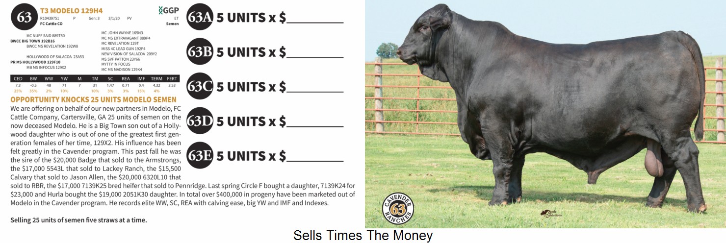 Lot 63d: Cavender Ranches - Grass Time Registered Female Sale ...