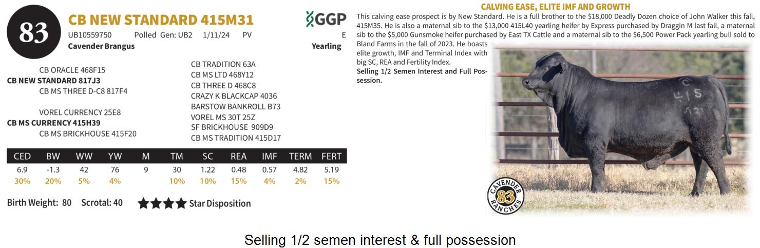 Lot 83: Cavender Ranches - Annual Spring Bull Sale | DVAuction