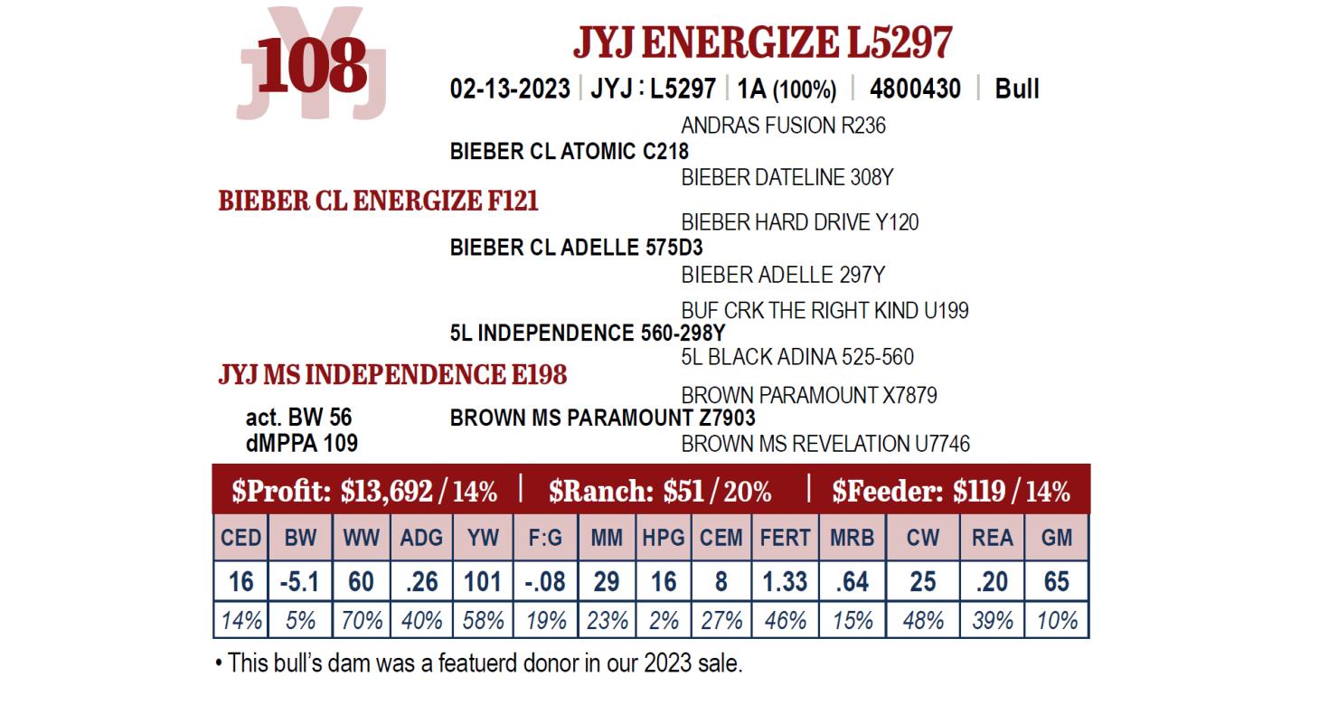 Lot 108: JYJ Red Angus - Bred for Excellence Production Sale | DVAuction