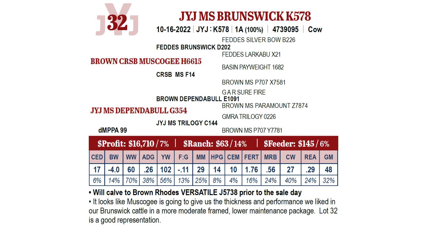 Lot 32: JYJ Red Angus - Bred for Excellence Production Sale | DVAuction