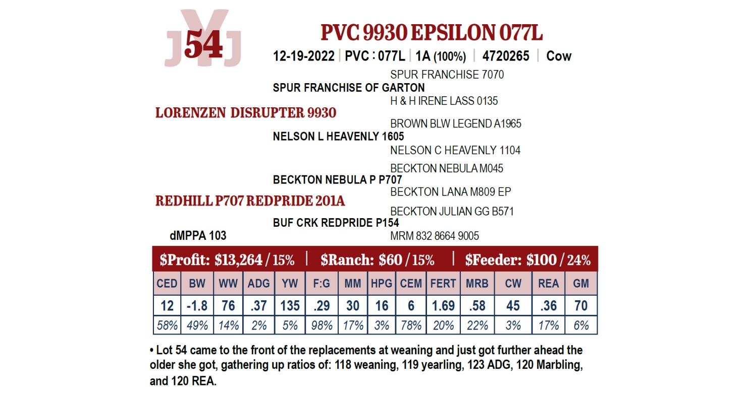 Lot 54: JYJ Red Angus - Bred for Excellence Production Sale | DVAuction