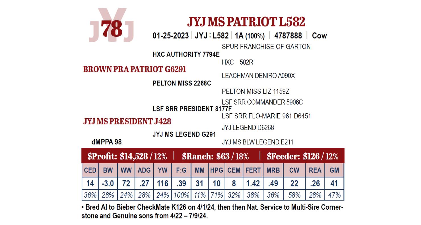 Lot 78: JYJ Red Angus - Bred for Excellence Production Sale | DVAuction