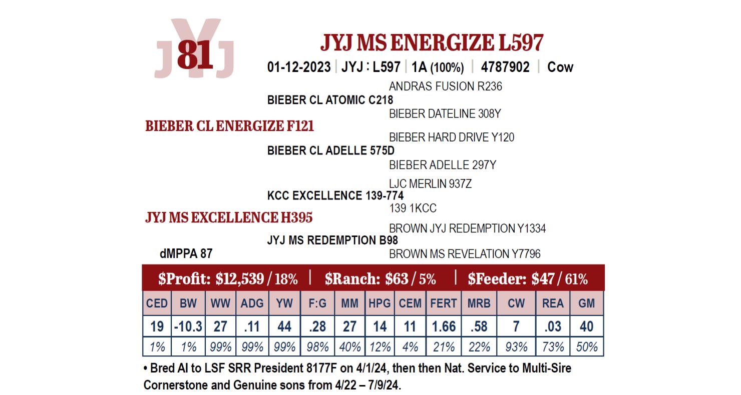Lot 81: JYJ Red Angus - Bred for Excellence Production Sale | DVAuction