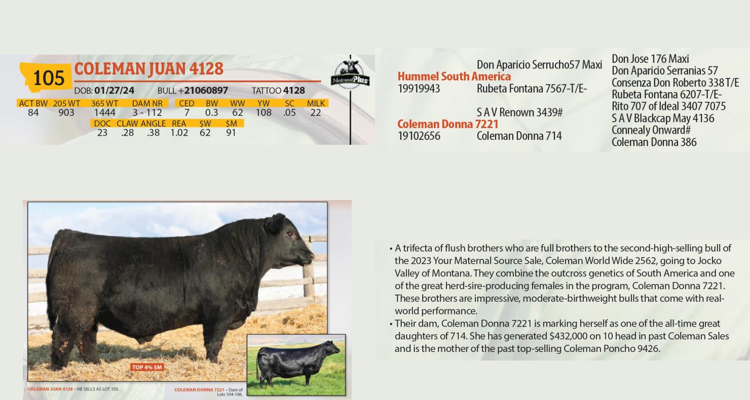 Lot 105: Coleman Angus - Annual Bull Sale | DVAuction