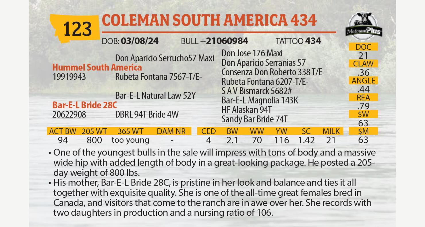 Lot 123: Coleman Angus - Annual Bull Sale | DVAuction