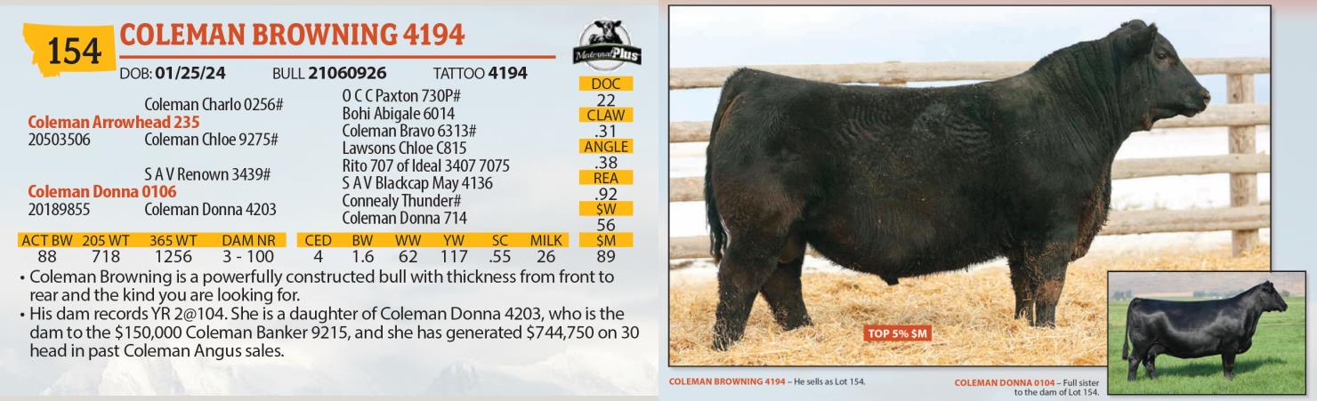 Lot 154: Coleman Angus - Annual Bull Sale | DVAuction