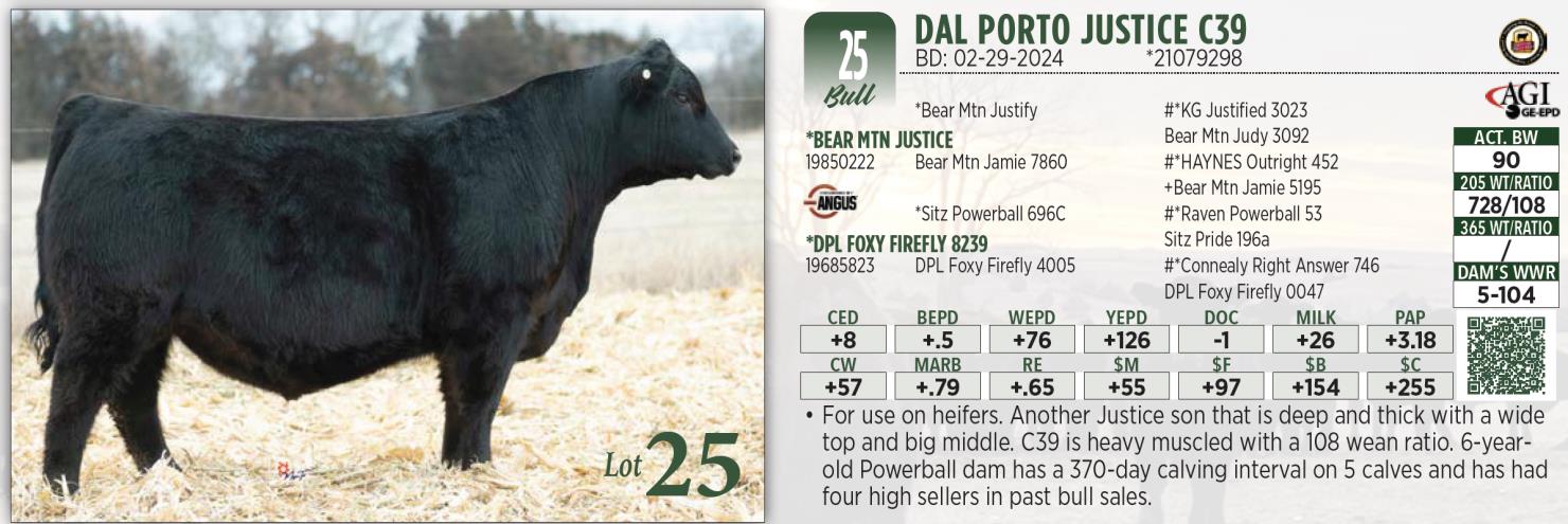 Lot 25: Dal Porto Livestock - Spring Bull Sale | DVAuction