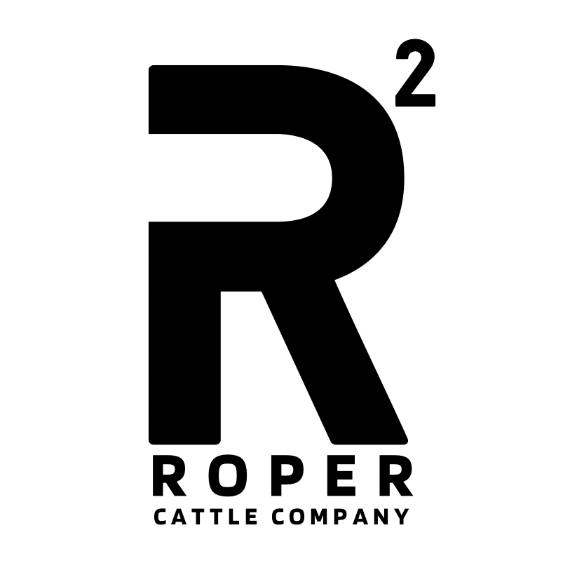 Broadcasting Real-Time Auctions | Roper Cattle Company LLC