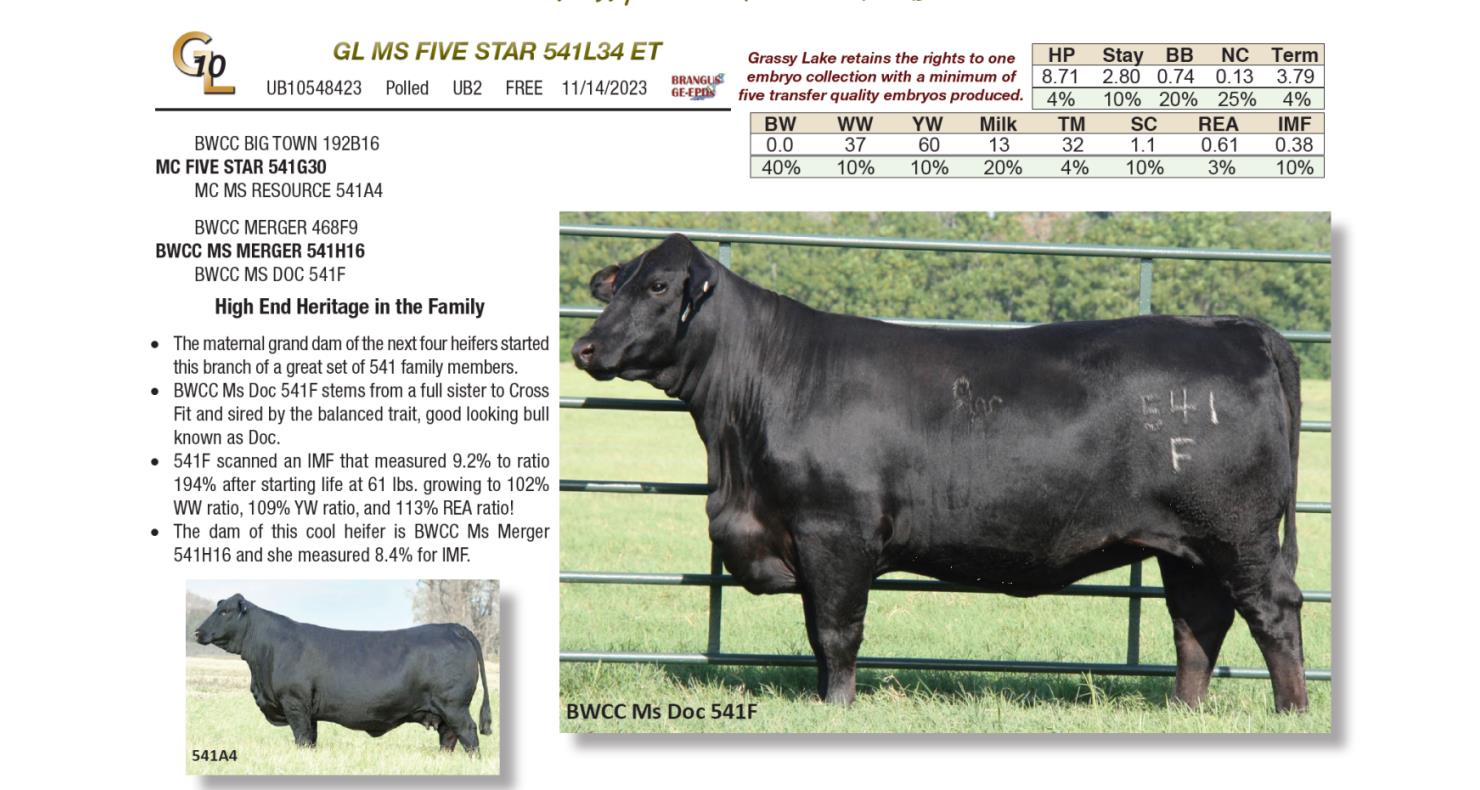 Lot 10 - GL MS FIVE STAR 541L34 ET: Grassy Lake Cattle Co. - Annual ...