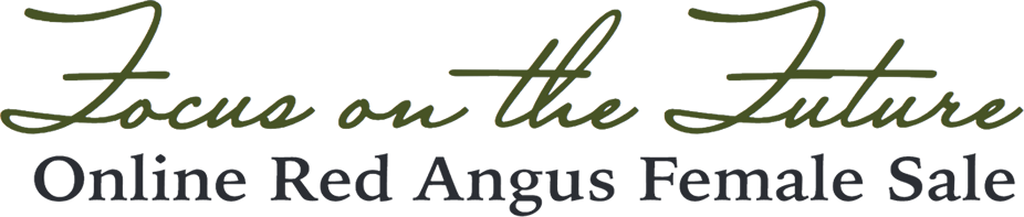 Broadcasting Real-Time Auctions | Focus On The Future