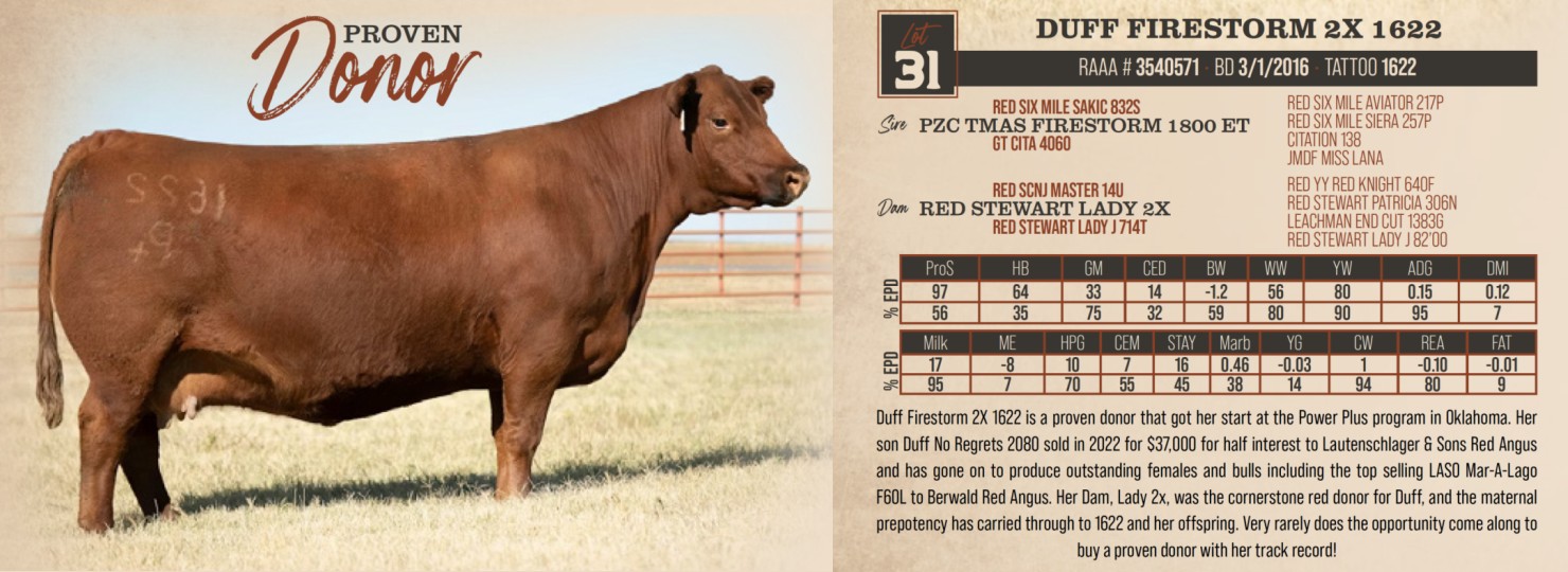 Lot 31 - Duff Firestorm 2X 1622: Cutler Cattle Company - Annual ...