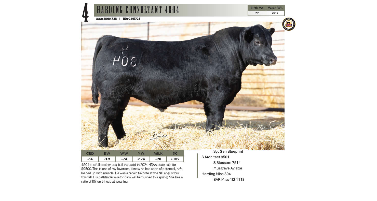 Lot 4 - Harding Consultant 4804: Harding Angus Ranch - Annual Bull Sale ...