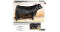 Lot 3 - Harding Architect 4201: Harding Angus Ranch - Annual Bull Sale ...