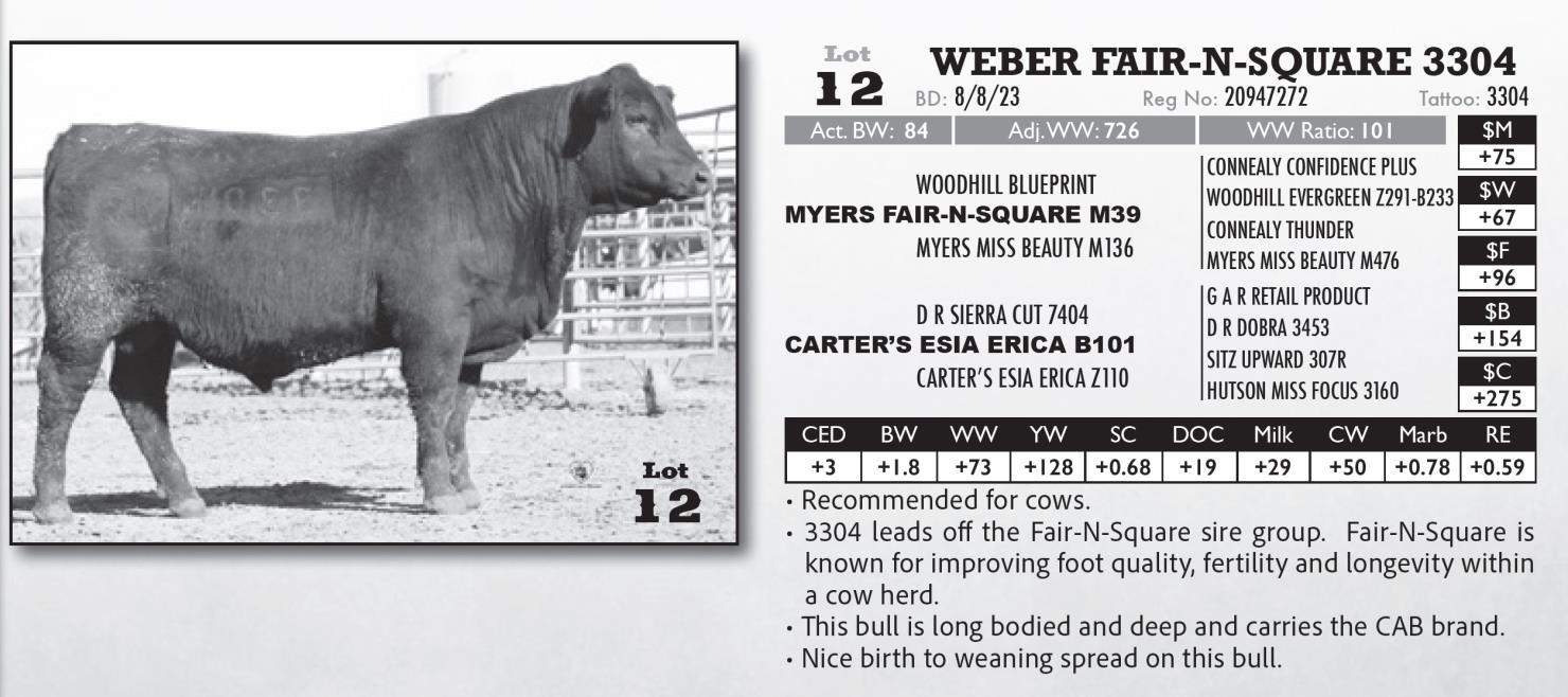 Lot 12 - Weber Fair-N Square 3304: Weber Farms Angus - Annual Online ...