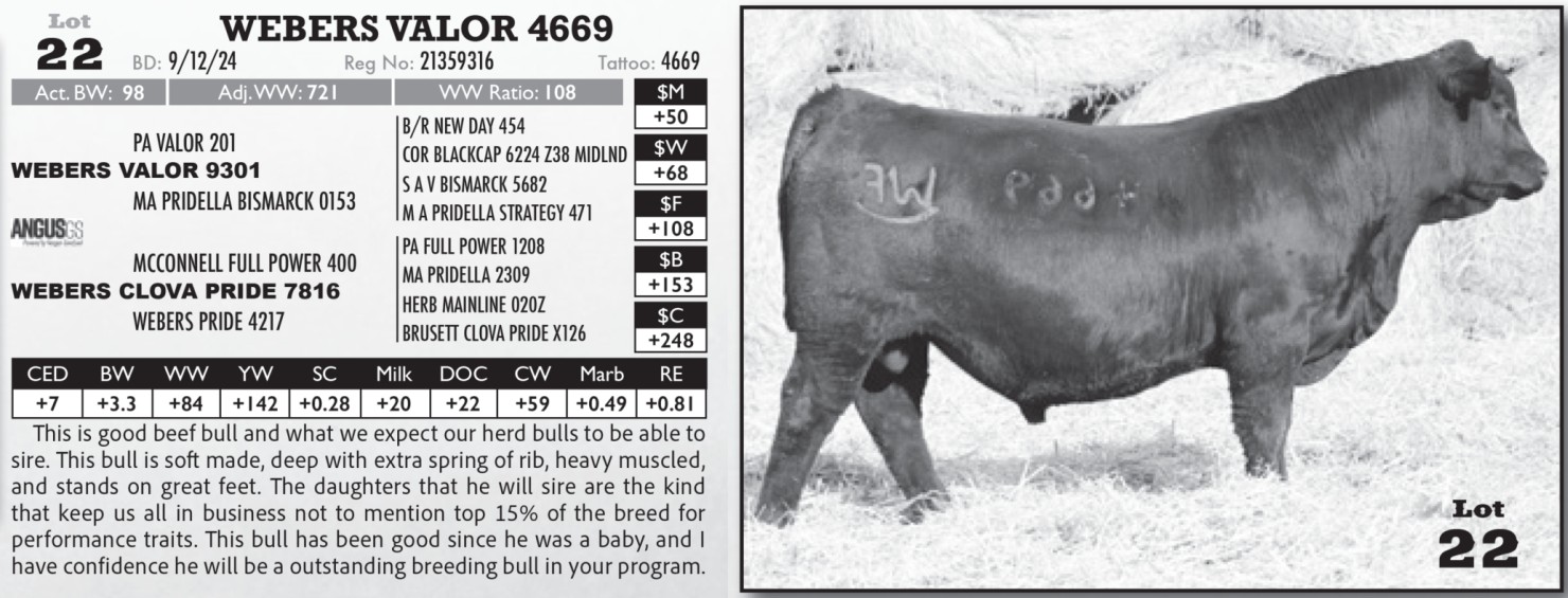 Lot 22 - Webers Valor 4669: Weber Farms Angus - Annual Online Bull Sale ...