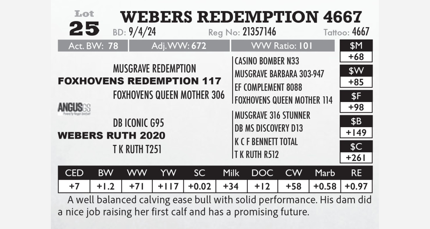 Lot 25 - Webers Redemption 4667: Weber Farms Angus - Annual Online Bull ...