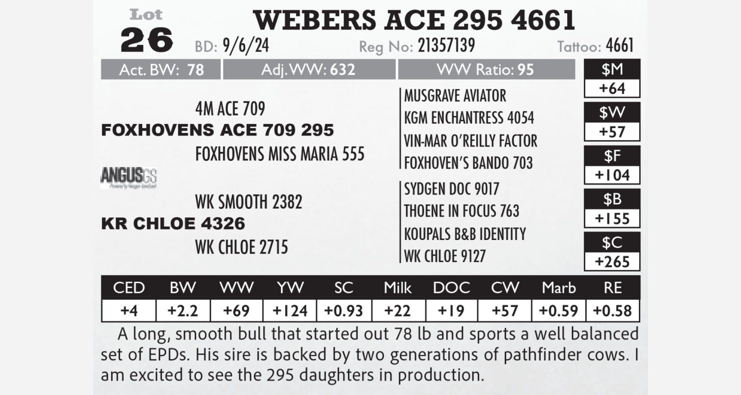 Lot 26 - Webers Ace 295 4661: Weber Farms Angus - Annual Online Bull ...