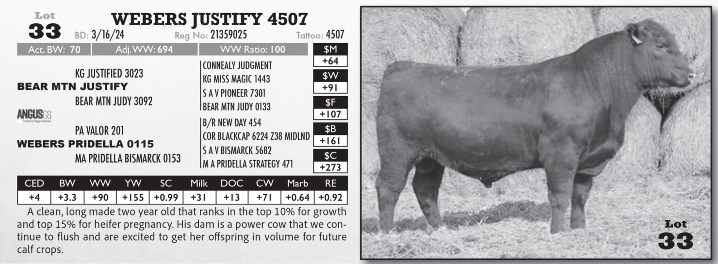 Lot 33 - Webers Justify 4507: Weber Farms Angus - Annual Online Bull ...