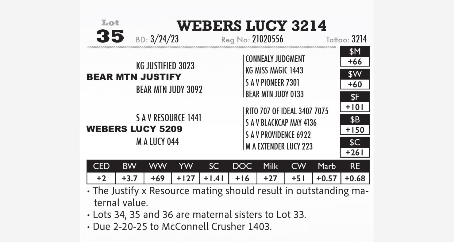 Lot 35 - Webers Lucy 3214: Weber Farms Angus - Annual Online Bull Sale ...