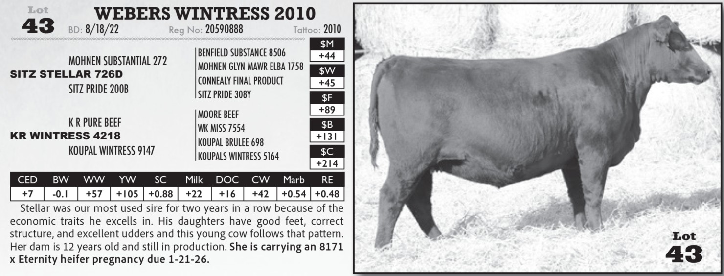 Lot 43 - Webers Wintress 2010: Weber Farms Angus - Annual Online Bull ...