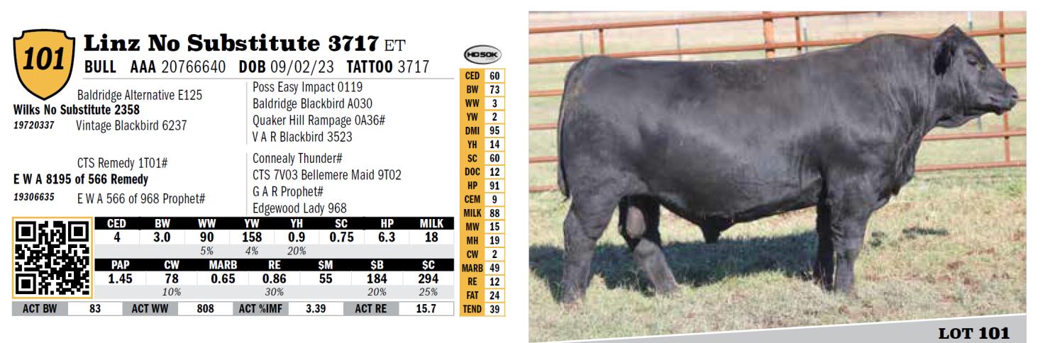 Lot 101: Linz Heritage Angus - 8th Annual Bull Sale | DVAuction