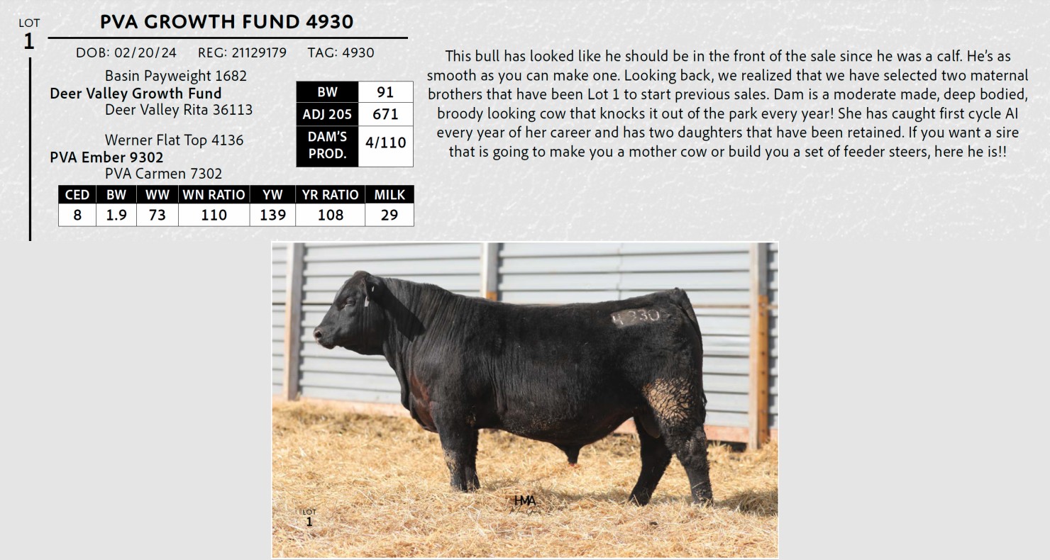 Lot 1: Pleasant Valley Angus - Annual Angus Bull Sale | DVAuction