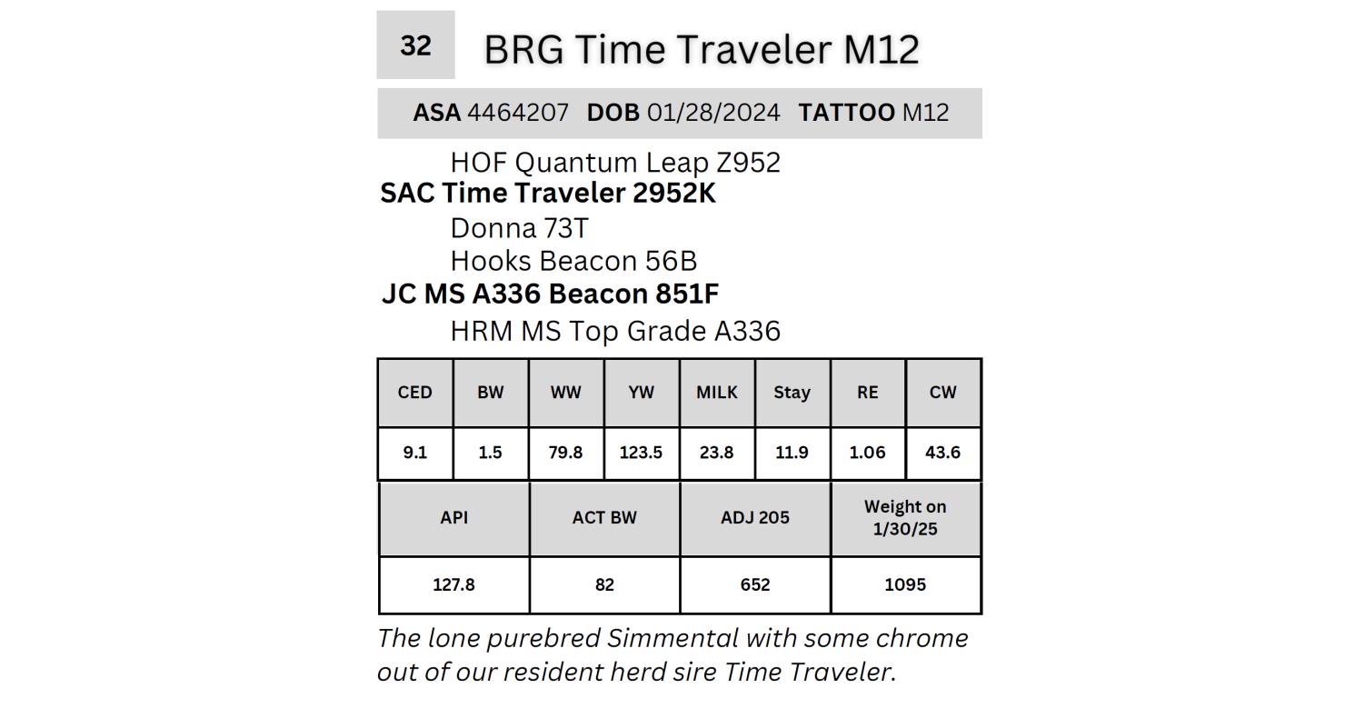 Lot 32 - BRG Time Traveler M12: Geidel Cattle Co. - Online Sale ...