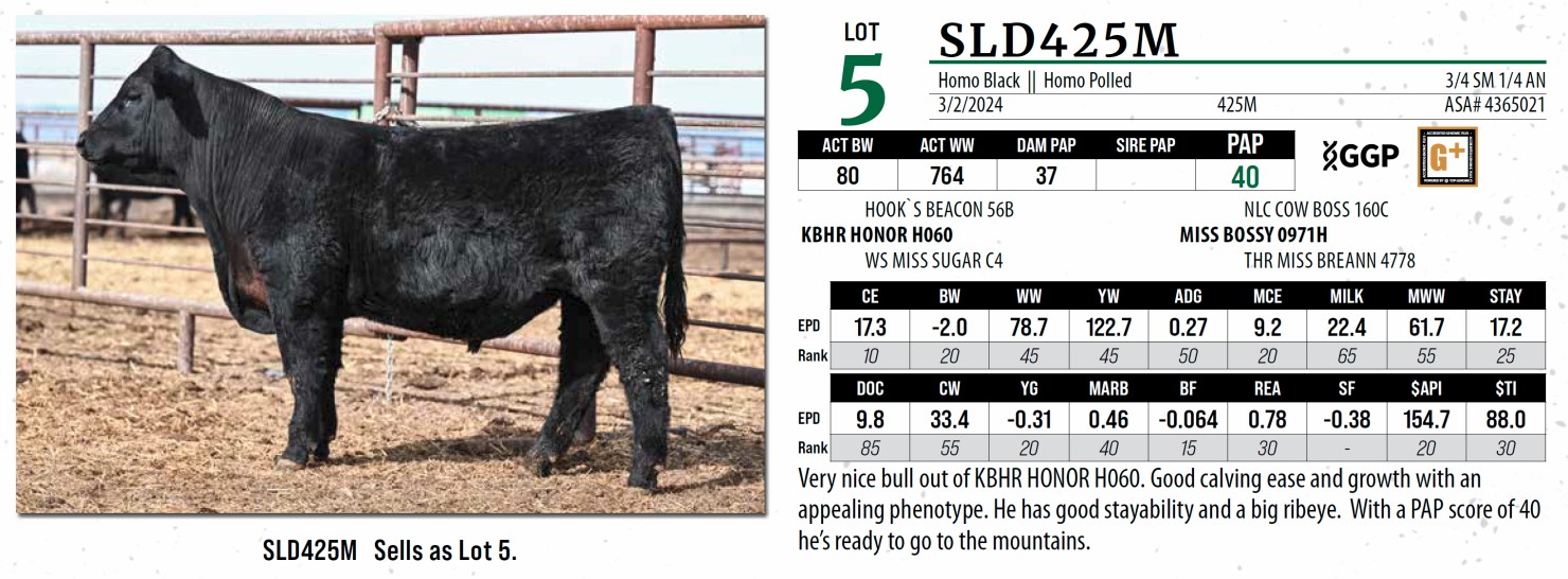 Lot 5: 7L Diamond Ranch - 5th Annual Simmental & SimAngus High Altitude Bull Sale | DVAuction