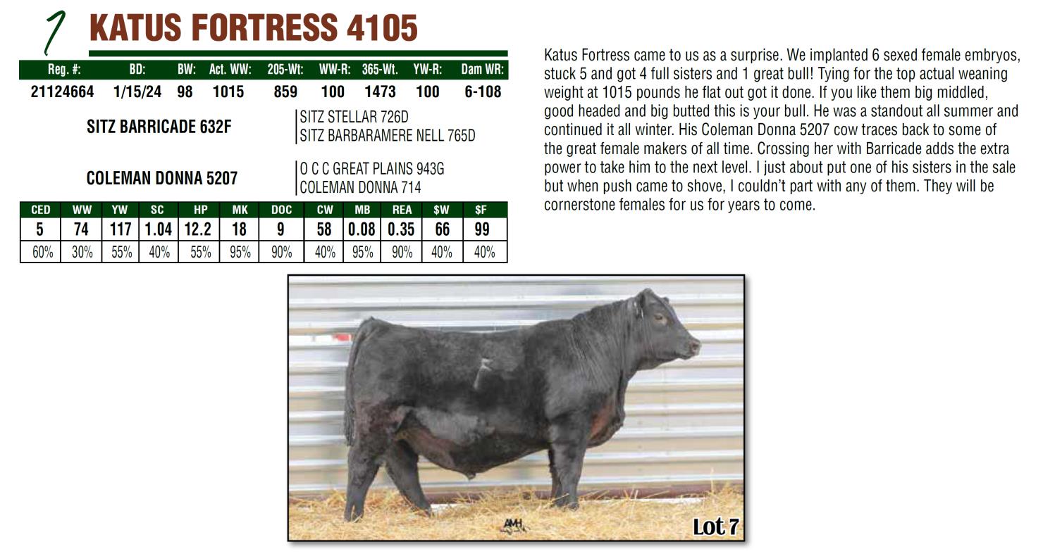 Lot 7: Katus Ranch - Angus Seedstock Bull Sale | DVAuction