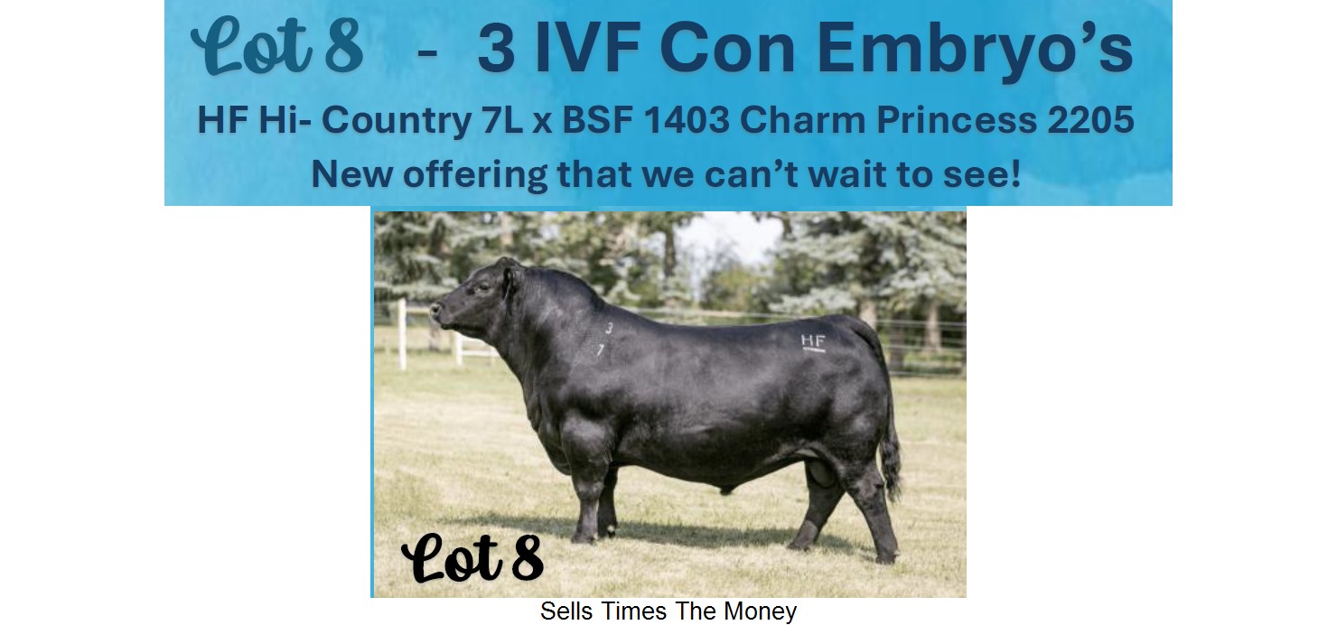 Lot 8 - HF Hi-Country 7L x BSF 1403 Charm Princess 2205 Embryo's ...