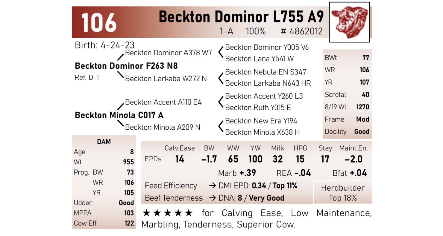Lot 106 - Beckton Dominor L755 A9: Beckton Red Angus - Online Sale ...